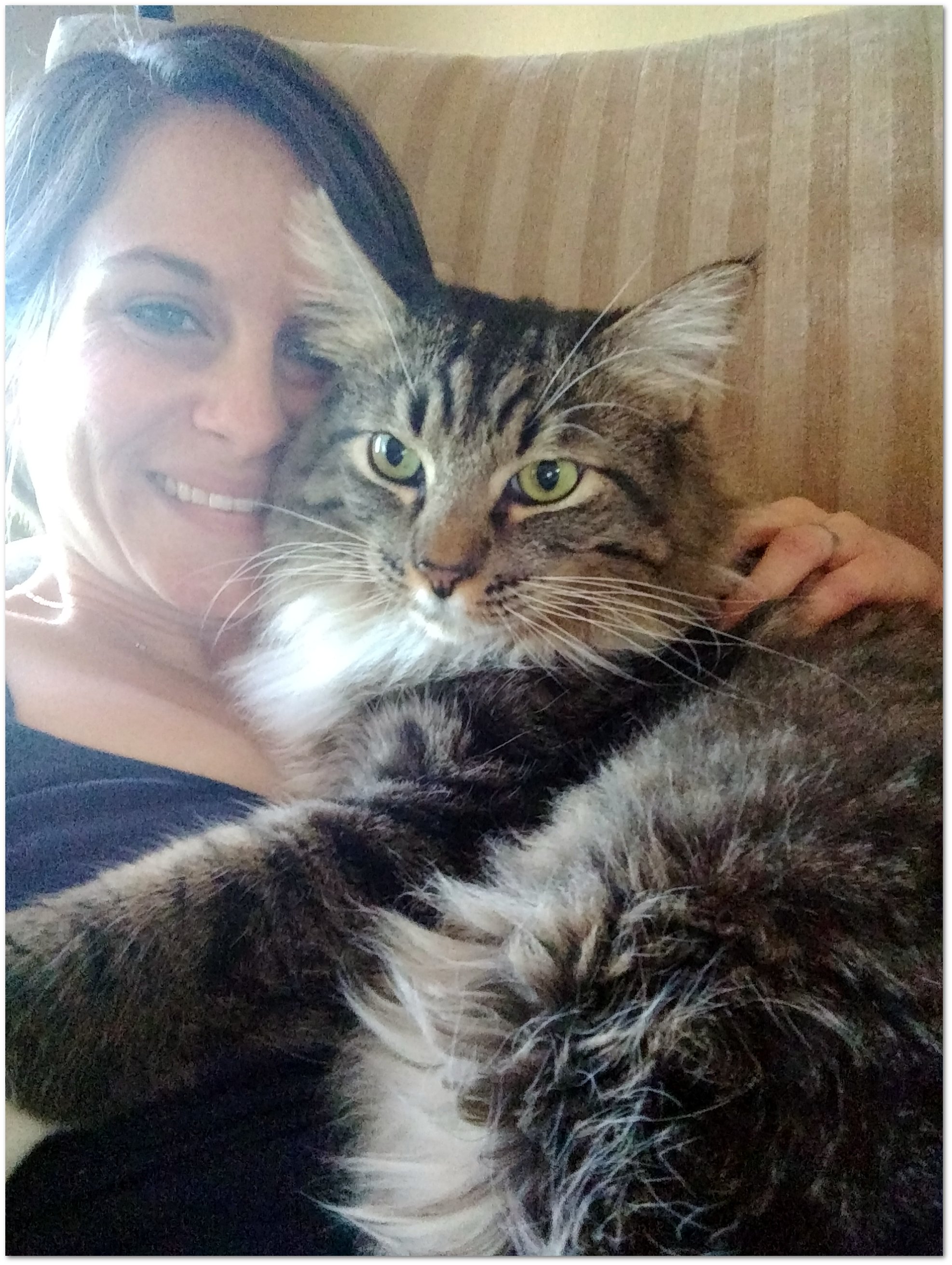 Successes | Cattitude Feline Behavior Counseling